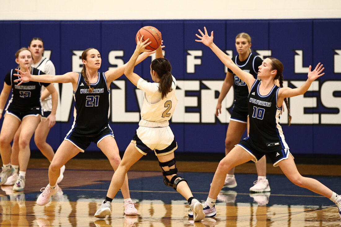 Westfield locks down Falconer for 37-15 win | News, Sports, Jobs ...